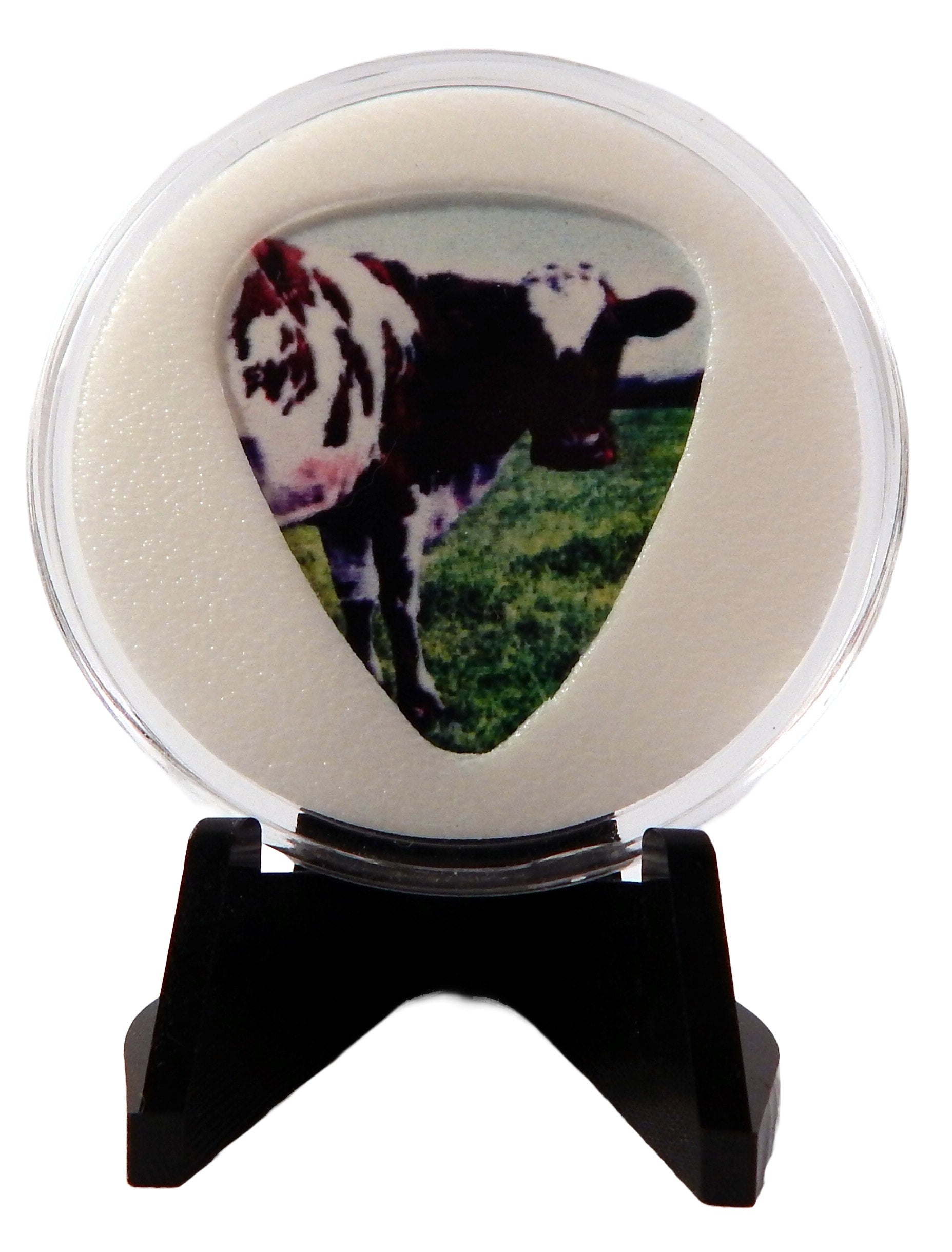 Pink Floyd Guitar Pick #5/12 + Guitar Pick Display | Buffalo Music Store